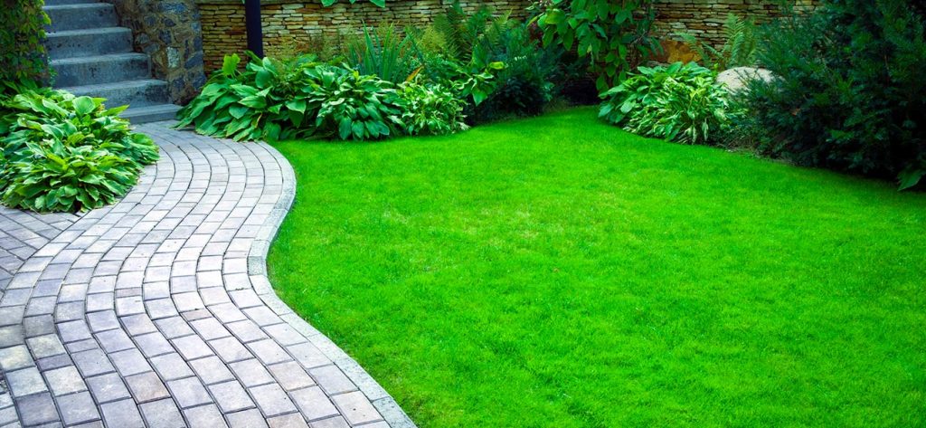 Guide for Healthy, Green Grass | Newberg Landscaping Pros